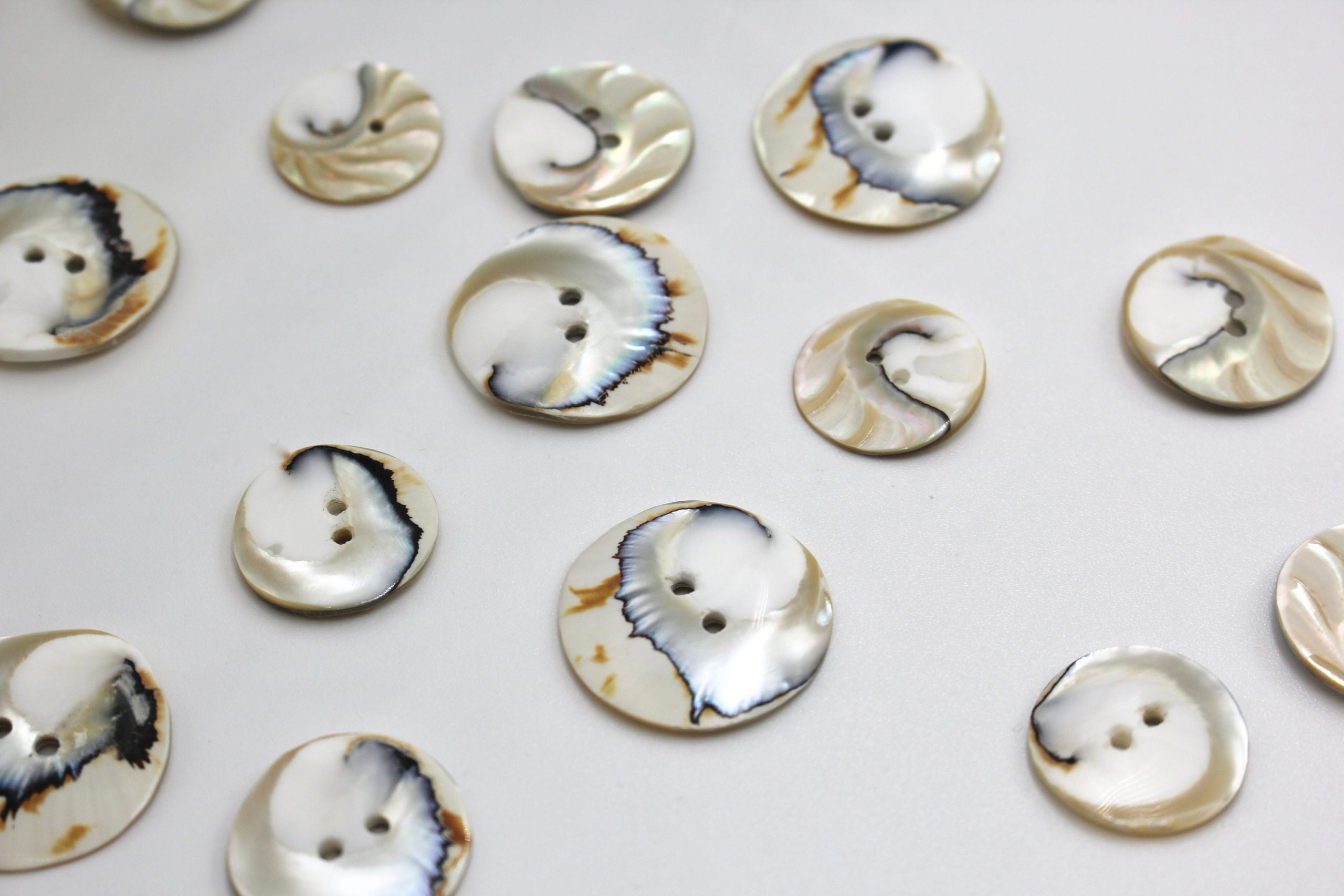 Vintage Nautilus Shell Buttons - 20mm, 23mm & 28mm - Dot To Dot Studio